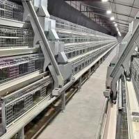 China Automatic Layer Poultry Cage With Feeder And Drinker Poultry Cages For Layer Chickens For 10000 Birds for sale