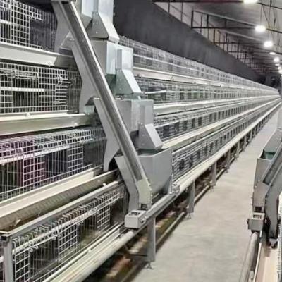 China Automatic A Type H Type Battery Cage for Laying Hens 1950mm Length 3 4 Tiers Poultry Farming Equipment for sale