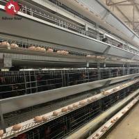 China Hot Dip Galvanized H Type Layer Cage 3 Tier 120 Birds Capacity Automatic Feeding Poultry Farm Equipment for sale