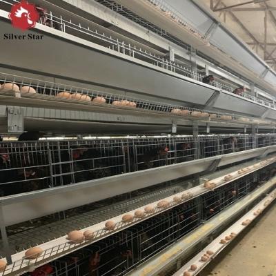 China Hot-Dip Galvanized Automatic Layer Chicken Cages 1800mm 600mm Battery Cage System with Egg Collection for sale