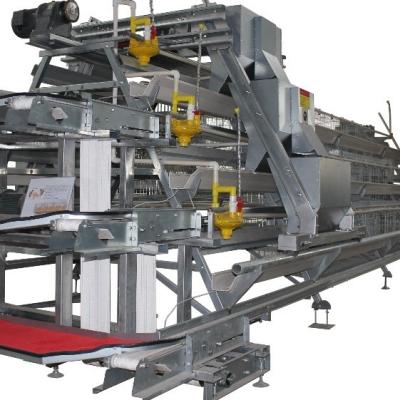 China 1950x2300x2000mm A Type Battery Layer Chicken Cage with Egg Collection and Disinfection System for sale