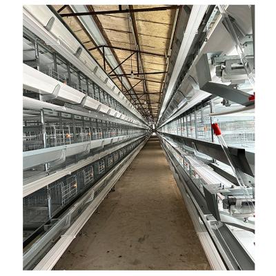 China H Type Battery Poultry Chicken Cage Automatic Layer Broiler 3 Tiers 4 Tiers 1950mm Length for sale