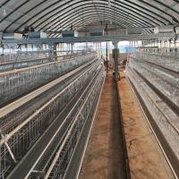 China Hot Galvanized A Type Layer Chicken Cage 1950mm Poultry Farming Equipment for 90 Birds for sale
