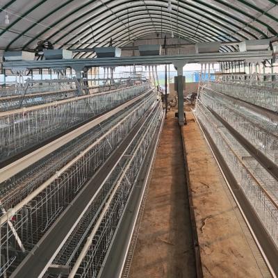 China Hot Galvanized A Type Layer Chicken Cage 1950mm Poultry Farming Equipment for 90 Birds for sale
