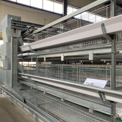 China Hot Galvanized Poultry Farming Equipment Automated Layer Chicken Cage A Type 1950mm for sale