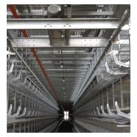 China Automatic H Type Chicken Layer Cage Battery For Chicken Layer Farming System Egg Collection System for sale