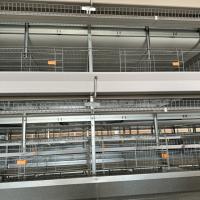 China Automatic Layer Chicken Cage H Type Poultry Farm Equipment 1800x600x430mm 4 Doors 6 Birds Per Door for sale