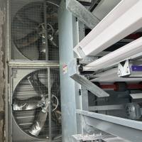 China Automatic H Type Chicken Layer Cage Battery For Chicken Layer Farming System Egg Collection System for sale