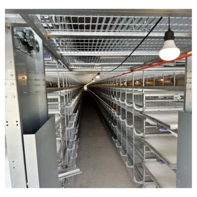 China Hot Dip Galvanized H Type Automatic Layer Chicken Cage 1800x600x430mm 4 Tiers Poultry Farm Equipment for sale