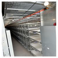 China Automatic H Type Chicken Layer Cage Battery For Chicken Layer Farming System Egg Collection System for sale