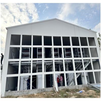 China Hot Dip Galvanized H Type Automatic Layer Chicken Cage 3-8 Tiers 1800x600x430mm Poultry Farm Equipment for sale