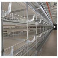 China 100,000 Birds H Type 8-Tier Layer Chicken Cage For Egg Hens Project Fully Automatic Layer Cage for sale