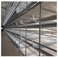 China 2024 H Type 4-tier Hot Dip Galvanized Automatic Layer Chicken Cage In Poultry Equipment for sale