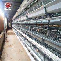 China Hot-Dip Galvanized Fully Automated 3-8 Tier Layer Cage with Automatic Egg Collection System for sale
