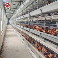 China 4-Tier Fully Automated Layer H-Type Fully Automatic Layer Cage: Revolutionizing Poultry Farming Efficiency for sale