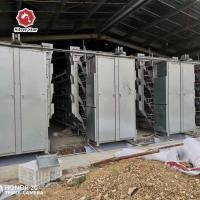 China 4-Tier Fully Automated Layer Housing System with Galvanized Frame & Auto Collection for sale