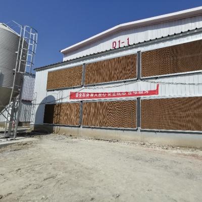 China 100,000 Birds H Type 8-Tier Layer Chicken Cage For Egg Hens Project Fully Automatic Layer Cage for sale