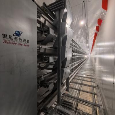 China Hot-Dip Galvanized High-Efficiency 4-8 Tier Automatic Layer Cage - Hot Galvanized & Auto Egg Conveyor for sale