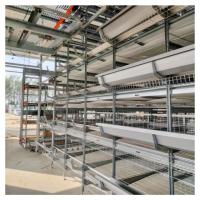 China Durable & Labor-Saving: H-Type Fully Automatic Layer Cages for Modern Farms for sale