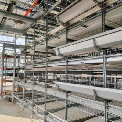 China 4-Tier Fully Automated Layer Housing System with Galvanized Frame & Auto Collection for sale