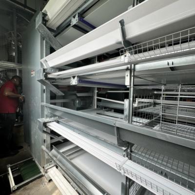 China Durable & Labor-Saving: H-Type Fully Automatic Layer Cages for Modern Farms for sale