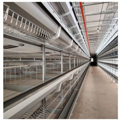 China Space-Saving Design High Yield H-Type Fully Automatic Layer Cages for Modern Farms for sale