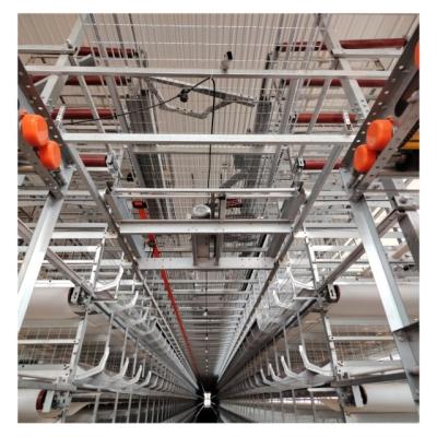 China Hot Galvanized Automatic H Type Chicken  Layer Cage Broiler Poultry Cage Space-Saving Design for sale