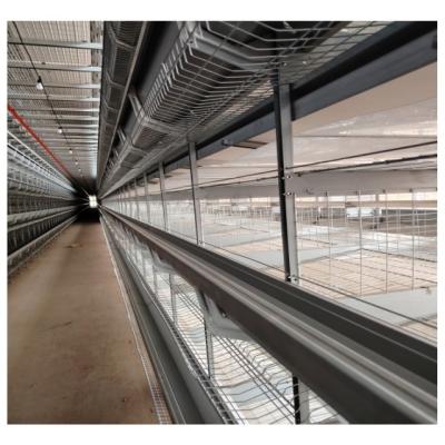 China H Type Layer Chicken Laying Cage Automatic Poultry Equipment Hens Battery Cage For Layer Chicken for sale