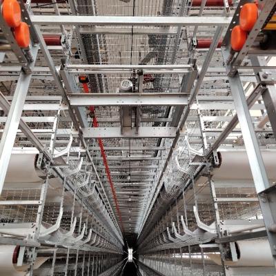 China Hot Galvanized 8 Tier H Type Layer Chicken Cage Automated Laying Hens Poultry Farm Equipment 1800x1200x5390mm for sale