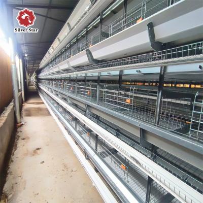 China Increase Egg Production with Our Layer Cage System Battery Cage for Layer Chickens for sale