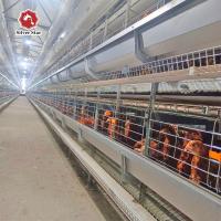 China H-Type 3-8 Tier Chicken Layer Cage System with Full Automation - 65×218×660cm Size, 144 Bird Capacity for sale