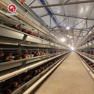 China Customized H-Type Layer Hen Battery Cage System for High-Yield Poultry Farming for sale