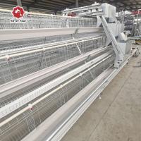 China A-Type Layer Chicken Cage with Hot Dip Galvanized Steel and Automatic Feeding for 3 or 4 Tier Poultry Equipment for sale