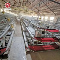 China A Type Layer Chicken Cage System - 3 Tier / 4 Tier Hot-Dip Galvanized Battery Cage For Egg Production with Automatic Feeding & Egg Collection for sale