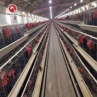 China 3-Tier / 4-Tier A-Type Layer Chicken Cage with Automatic Feeding & Egg Collection and Hot-Dip Galvanized Steel for sale