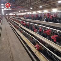 China A-Type Layer Chicken Cage System with 3-Tier / 4-Tier Design, Automatic Feeding & Egg Collection, Hot-Dip Galvanized Steel for Poultry Farms for sale