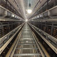 China Layer Chicken Cage The Perfect Solution for Raising Layers in Your Poultry Farm for sale