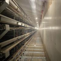 China Layer Chicken Cage The Perfect Solution for Raising Layers in Your Poultry Farm for sale