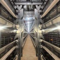 China Standard Layer Chicken Cage for Optimal Space Utilization and Durable Poultry Rearing for sale