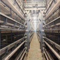 China H Type Layer Chicken Cage 1800x600x430mm Hot Dip Galvanized 3-8 Tiers Poultry Equipment for sale