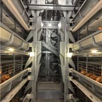 China Battery Chicken Cages Fully Automatic Environmental Controlled System Suitable for Poultry Farming for sale