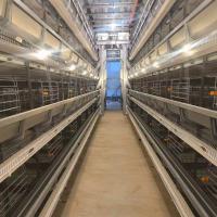 China Layer Chicken Cage The Optimal Solution for Modern and Profitable Poultry Farming for sale