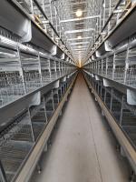 China H Type Layer Chicken Cage 3-8 Tiers for 54-384 Hens Hot Dipped Galvanized Q235 Steel for sale