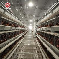 China Fully Automatic H-Type Layer Battery Cage System 1800x1000mm 3-4 Tiers for 20000-100000 Birds for sale