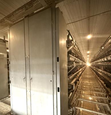 China H Type Layer Chicken Cage 3-8 Tiers Hot Dip Galvanized for 84-168 Chickens Poultry Farming for sale