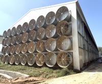 China Fully Automatic Environmental Controlled System Battery Chicken Cages More Than 25 Years Life Span Optimized for Modern Poultry Farming Needs for sale