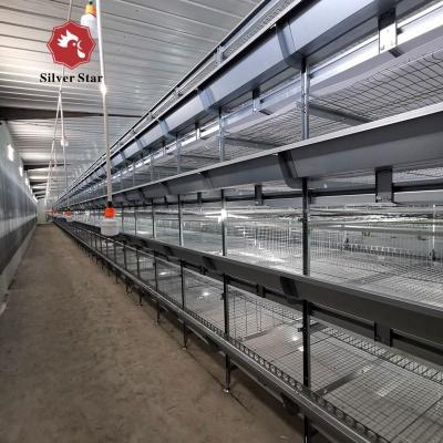 China Automatic H-Type Battery Cage System Hot-Dip Galvanized Steel for 50000 Birds Poultry Farm for sale