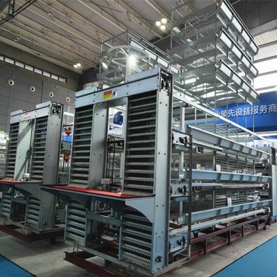 China H-Type Automatic Broiler Battery Cage System with Hot Dip Galvanizing and Stackable Modular Design for Commercial Meat Chicken Farms for sale
