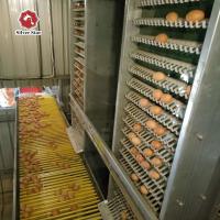 China Hot-Dipped Galvanized Steel Automatic Broiler Cage System 3 or 4 Tiers Poultry Farming Equipment for sale