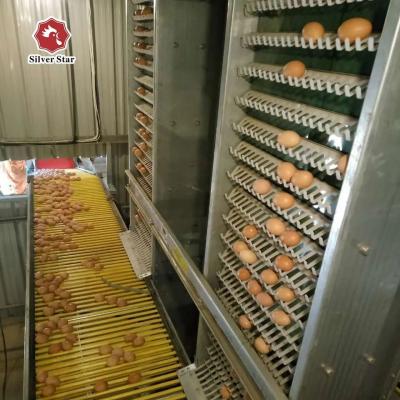 China H Type Layer Cage System | Automatic Layer Chicken Cage for Commercial Poultry Farms for sale